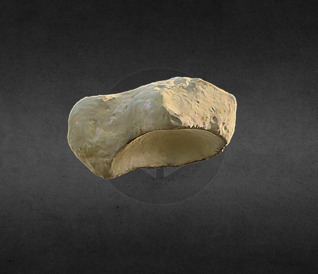 Músculos del Muslo - Anatomía Humana 3D - UACH